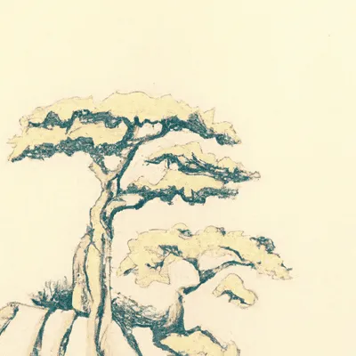 Understanding the Philosophy of Human Nature